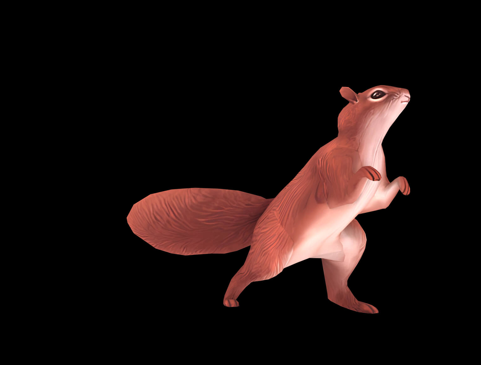 Rigged Animated Squirrel Chipmunk Chippy - 3D Model by cg-monster
