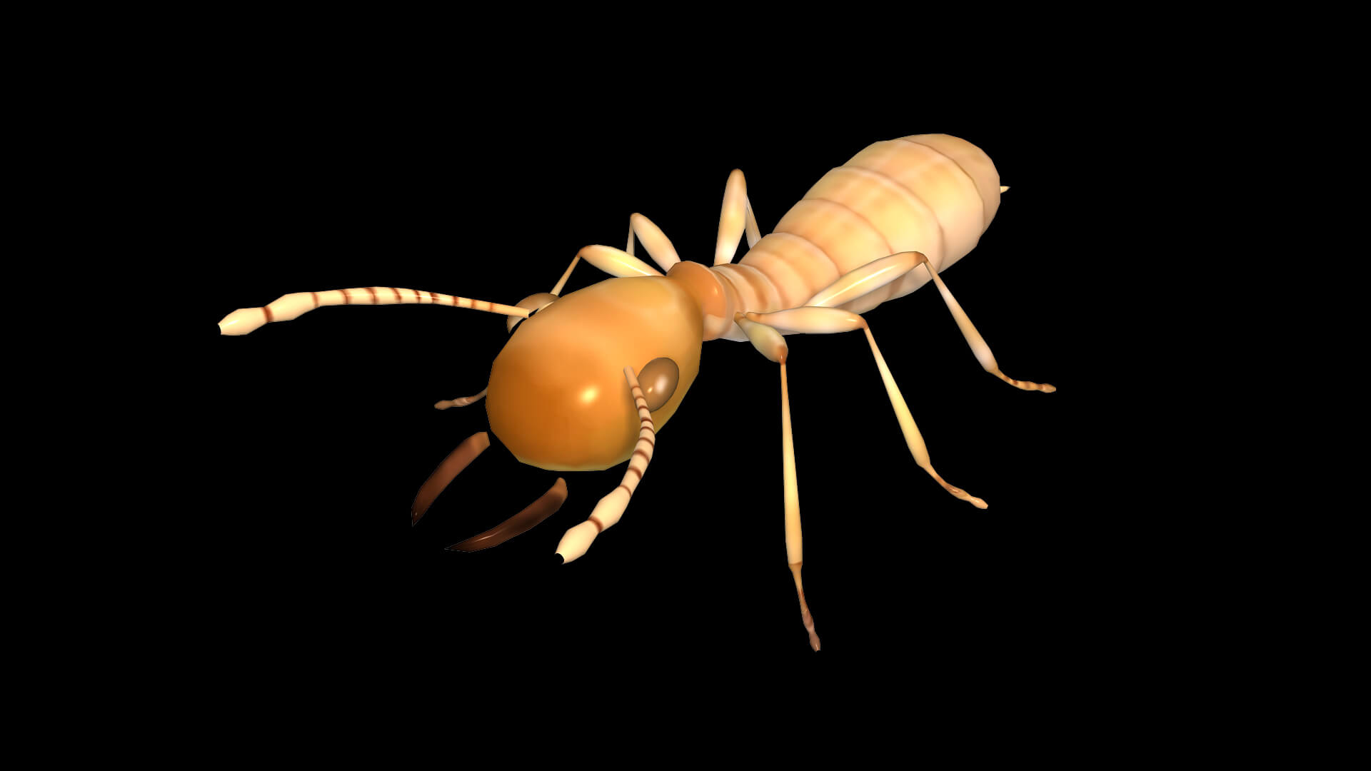 Rigged Animated Termite White Ant - 3D Model by cg-monster