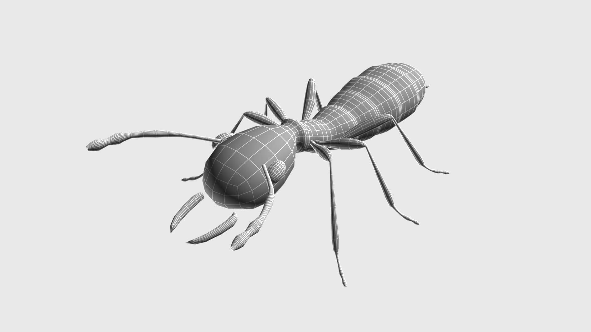 Rigged Animated Termite White Ant - 3D Model by cg-monster