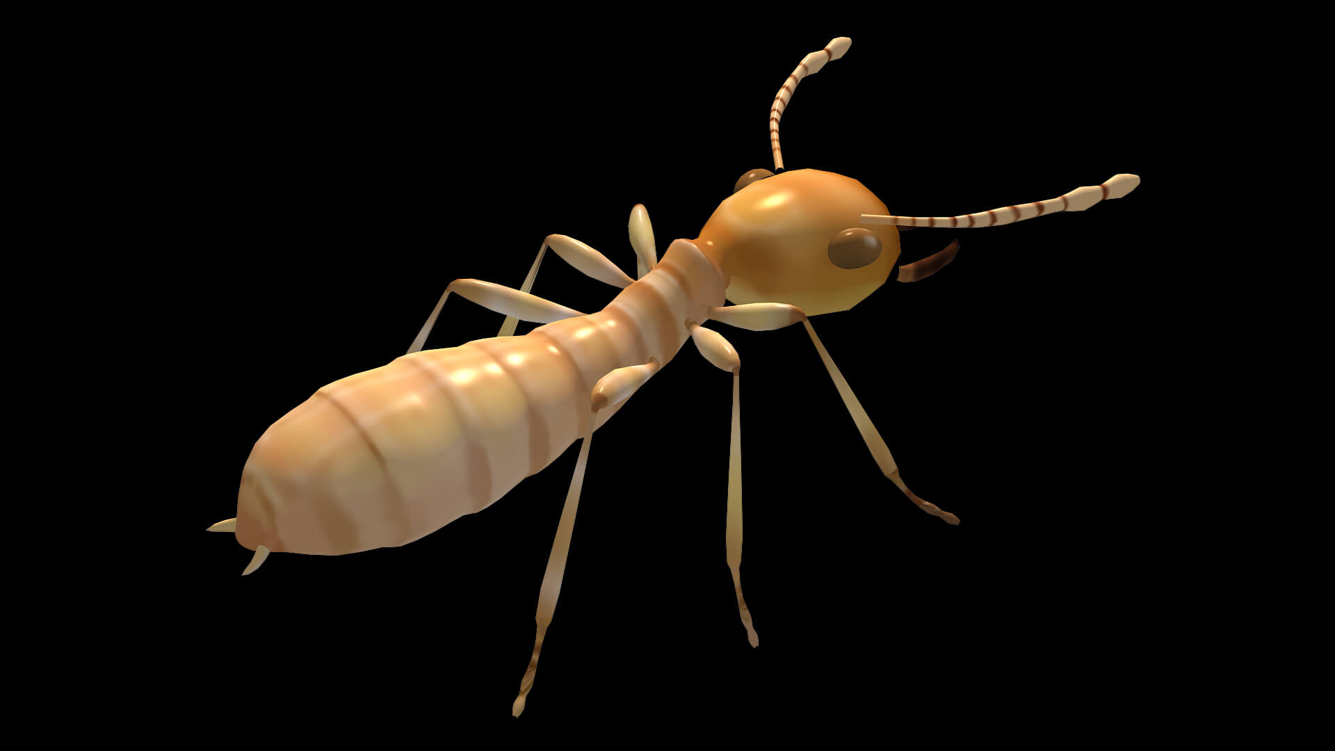 Rigged Animated Termite White Ant - 3D Model by cg-monster