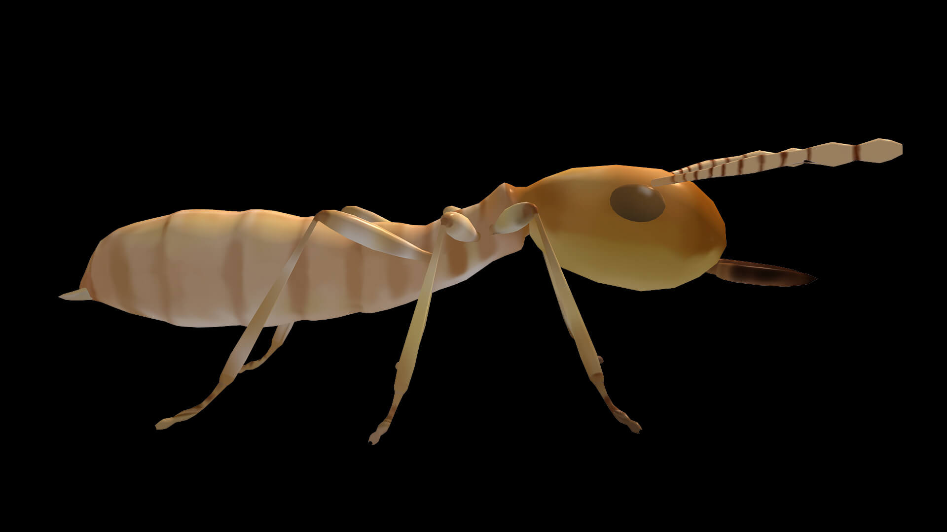 Rigged Animated Termite White Ant - 3D Model by cg-monster