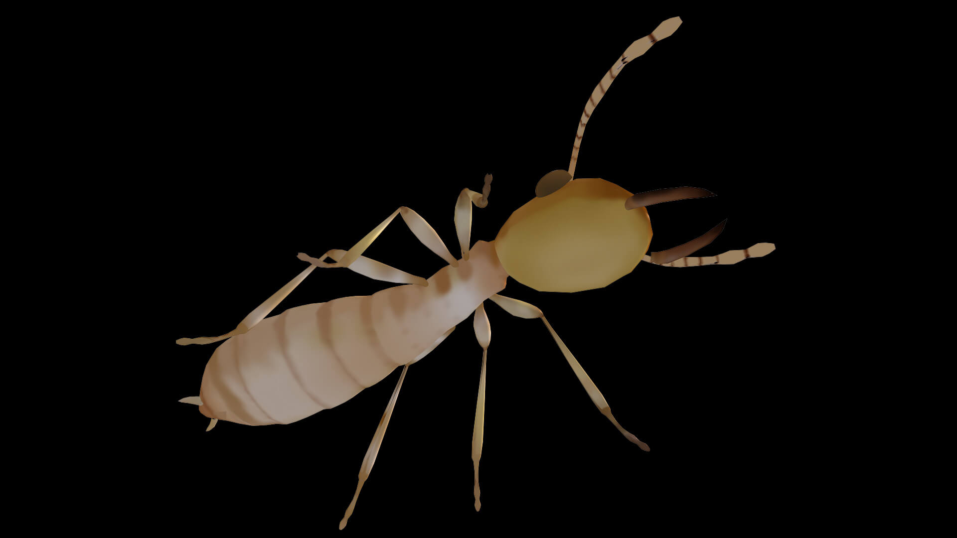 Rigged Animated Termite White Ant - 3D Model by cg-monster