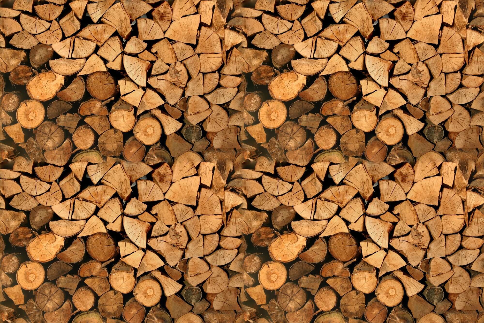 Wood MAterial 3D Render, Digital Art by CG PRO