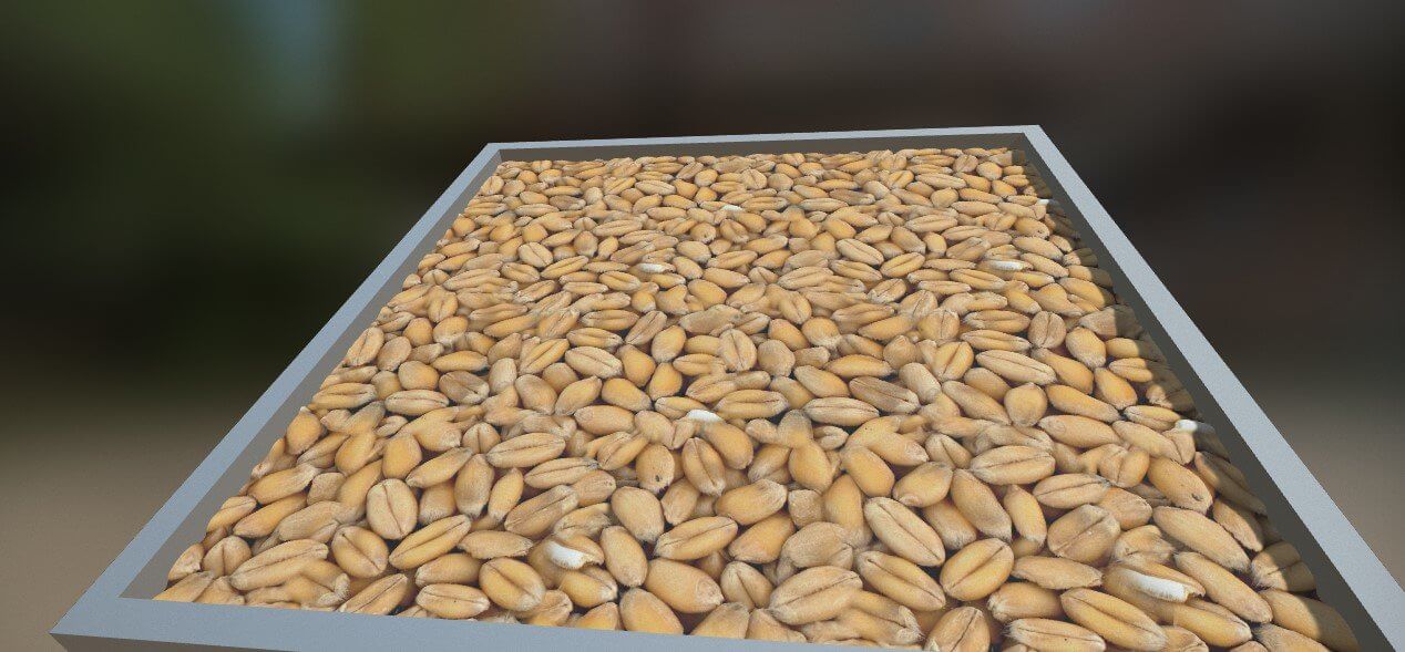 Texture PBR Grains by CG PRO