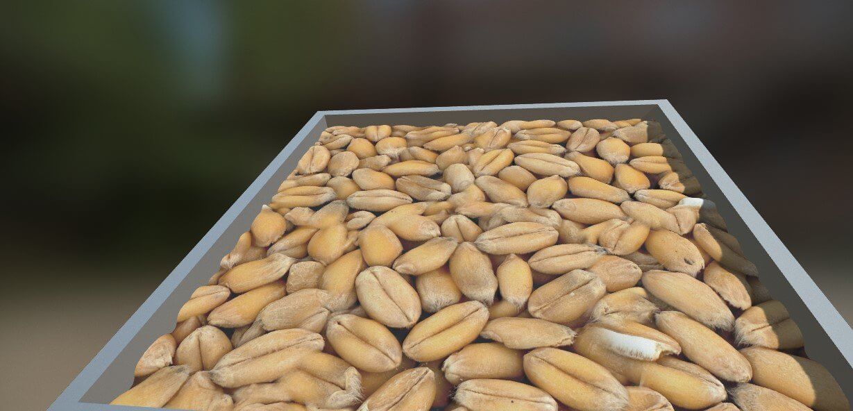 Texture PBR Grains by CG PRO