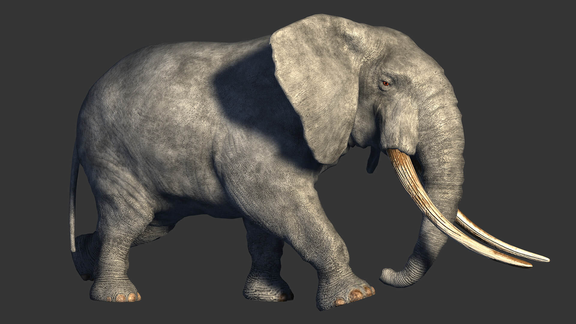 Animated Elephant - 3D Model by cg-shop-boy