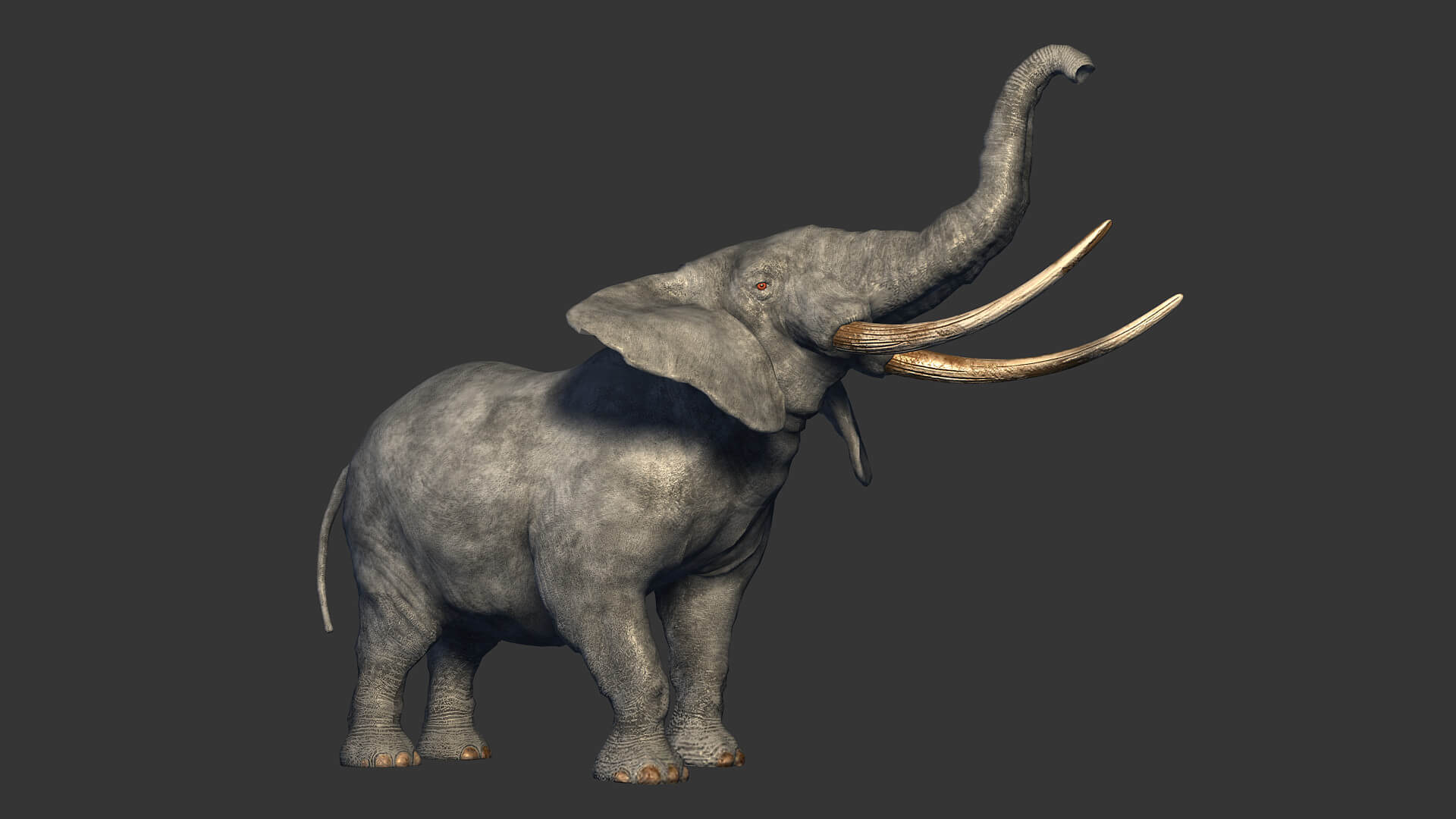 Animated Elephant - 3D Model by cg-shop-boy