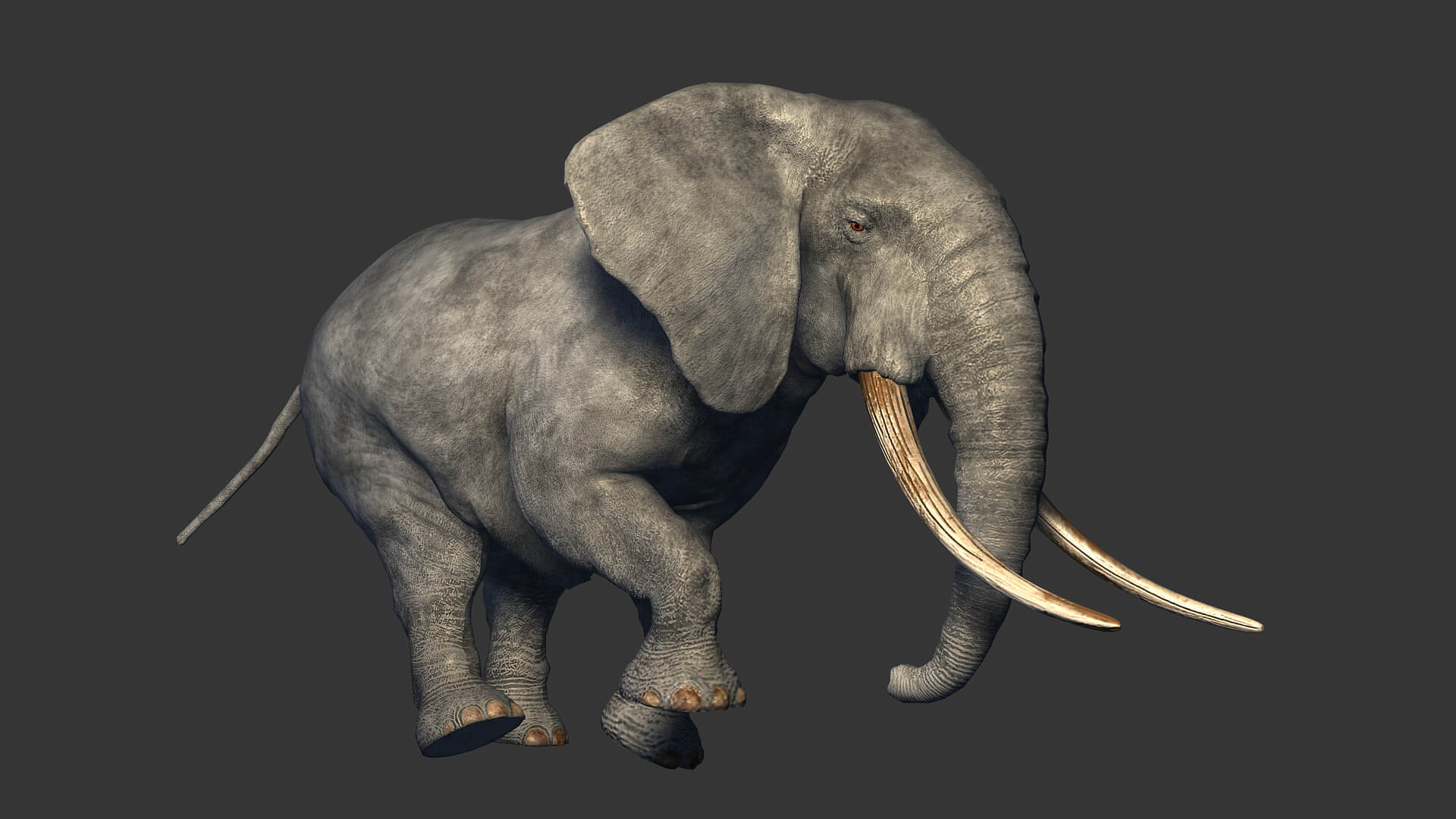 Animated Elephant - 3D Model by cg-shop-boy