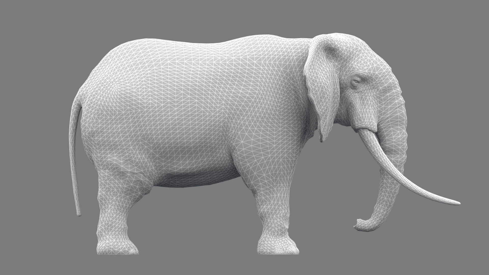 Animated Elephant - 3D Model by cg-shop-boy