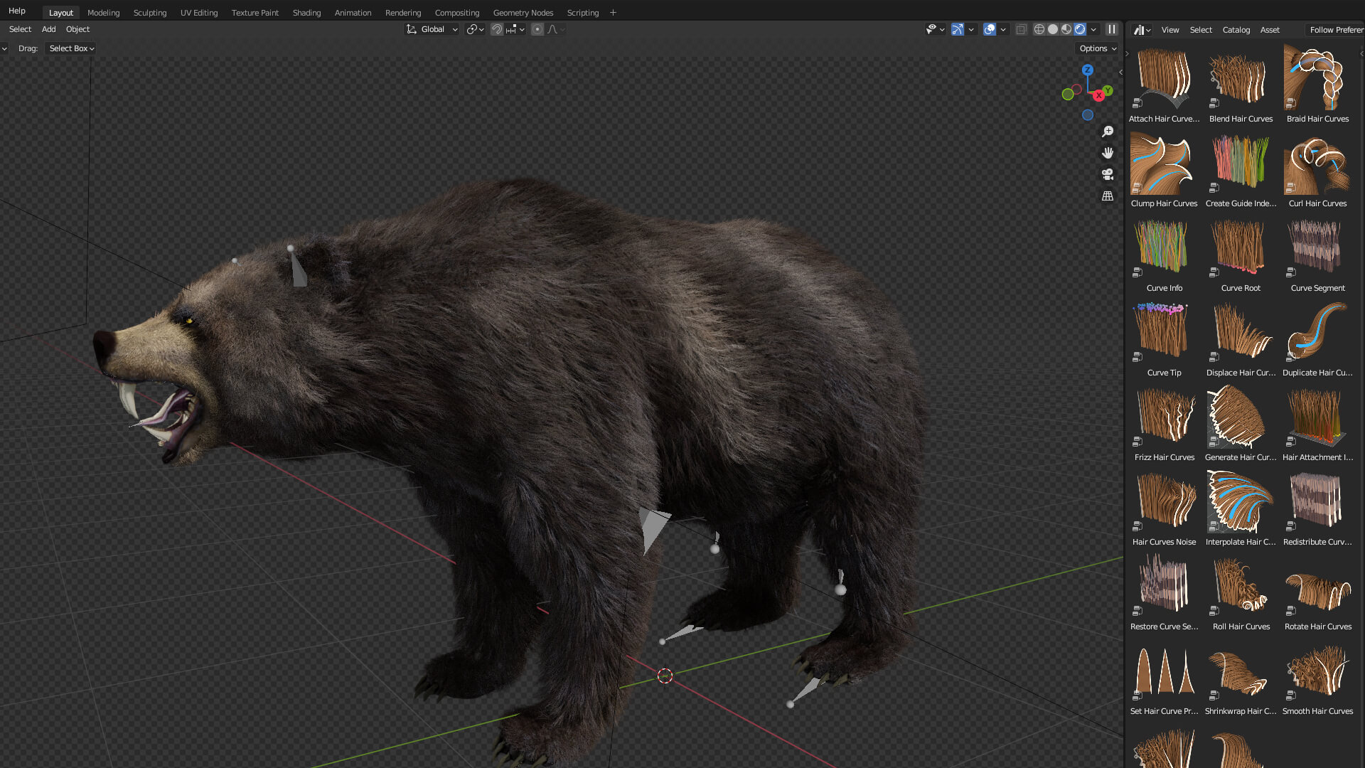 Bear Grizzly Brown Bear Black Bear - 3D Model by cg-shop-boy