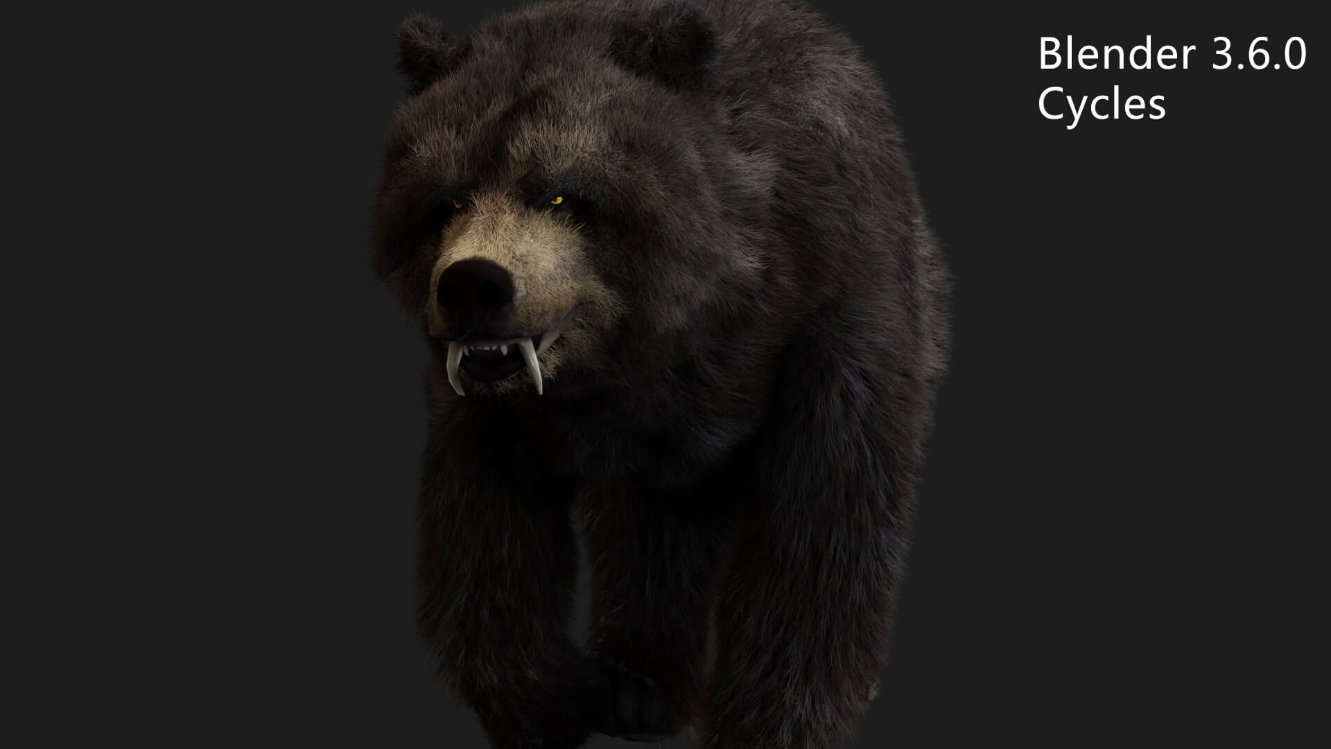 Bear Grizzly Brown Bear Black Bear - 3D Model by cg-shop-boy