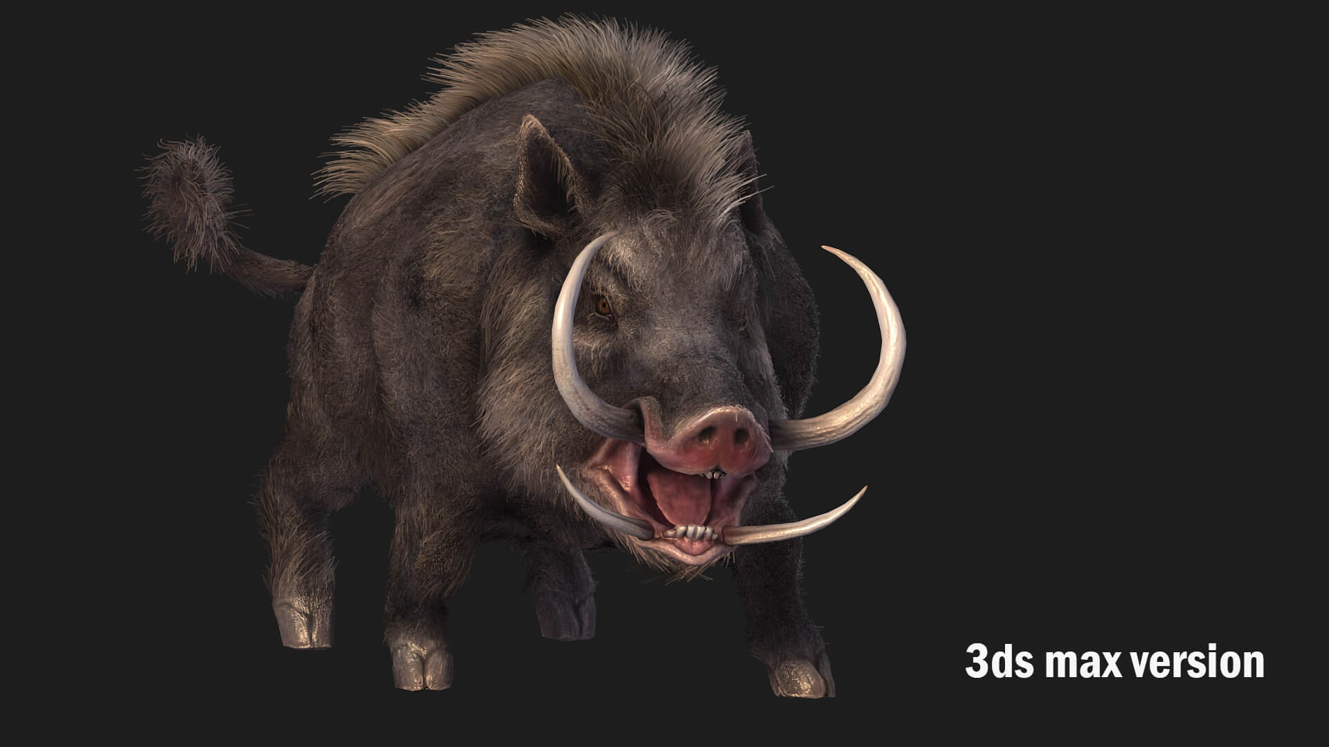 Boar Pig Beast - 3D Model by cg-shop-boy
