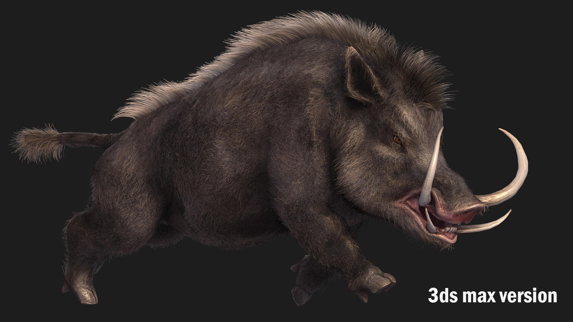 Boar Pig Beast - 3D Model by cg-shop-boy