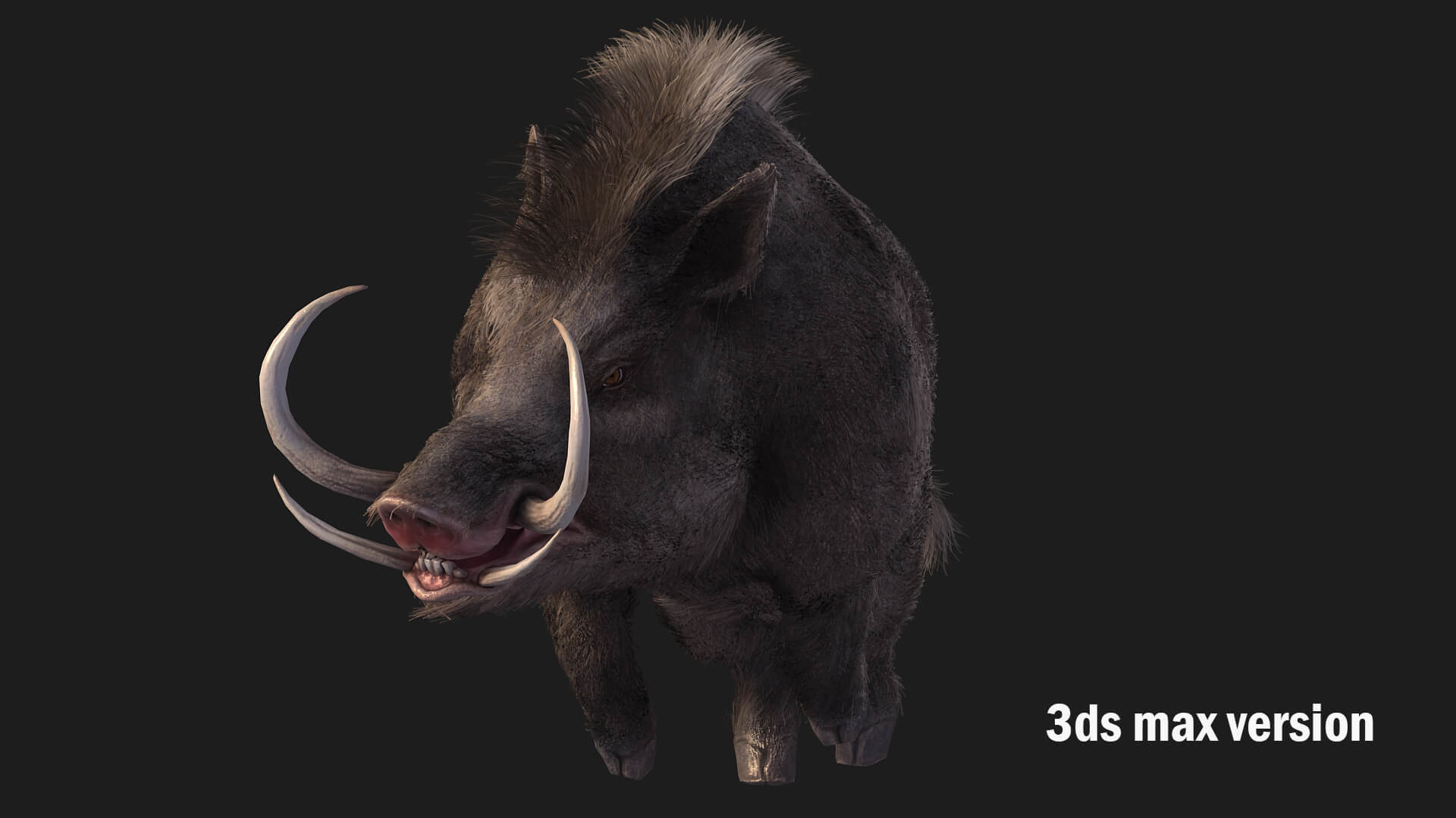 Boar Pig Beast - 3D Model by cg-shop-boy