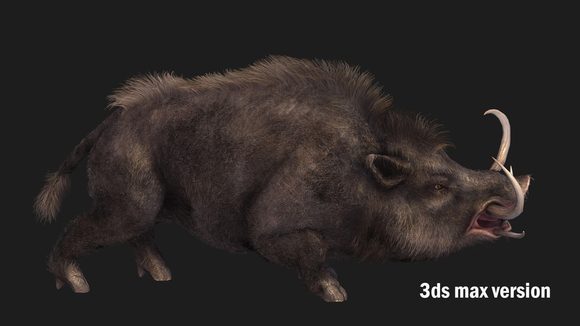 Boar Pig Beast - 3D Model by cg-shop-boy