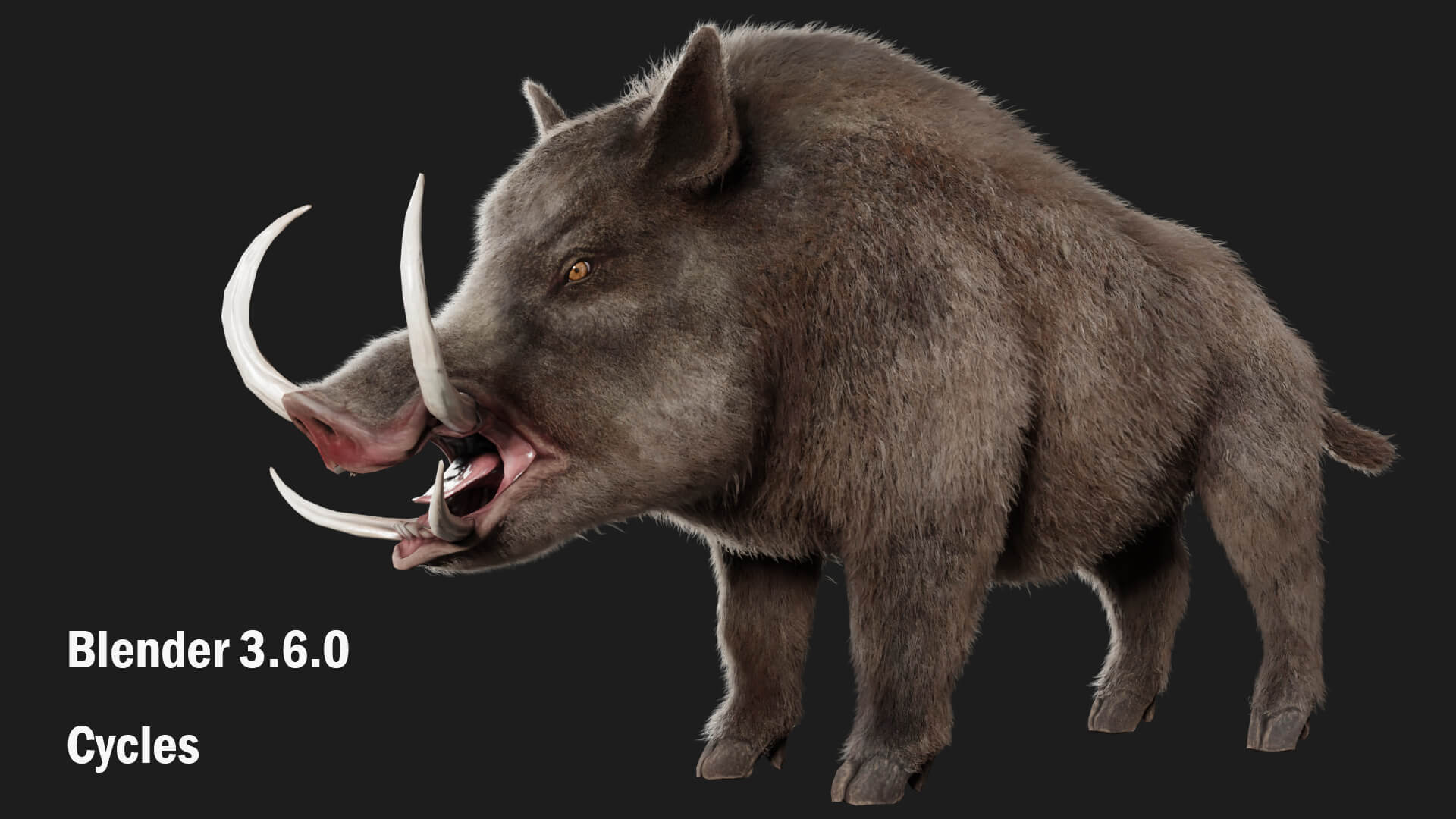Boar Pig Beast - 3D Model by cg-shop-boy