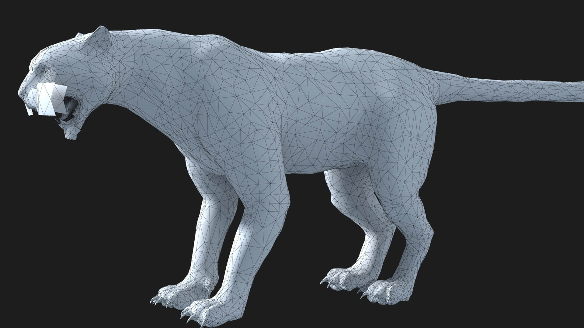 Leopard Panther Puma Jaguar - 3D Model by cg-shop-boy