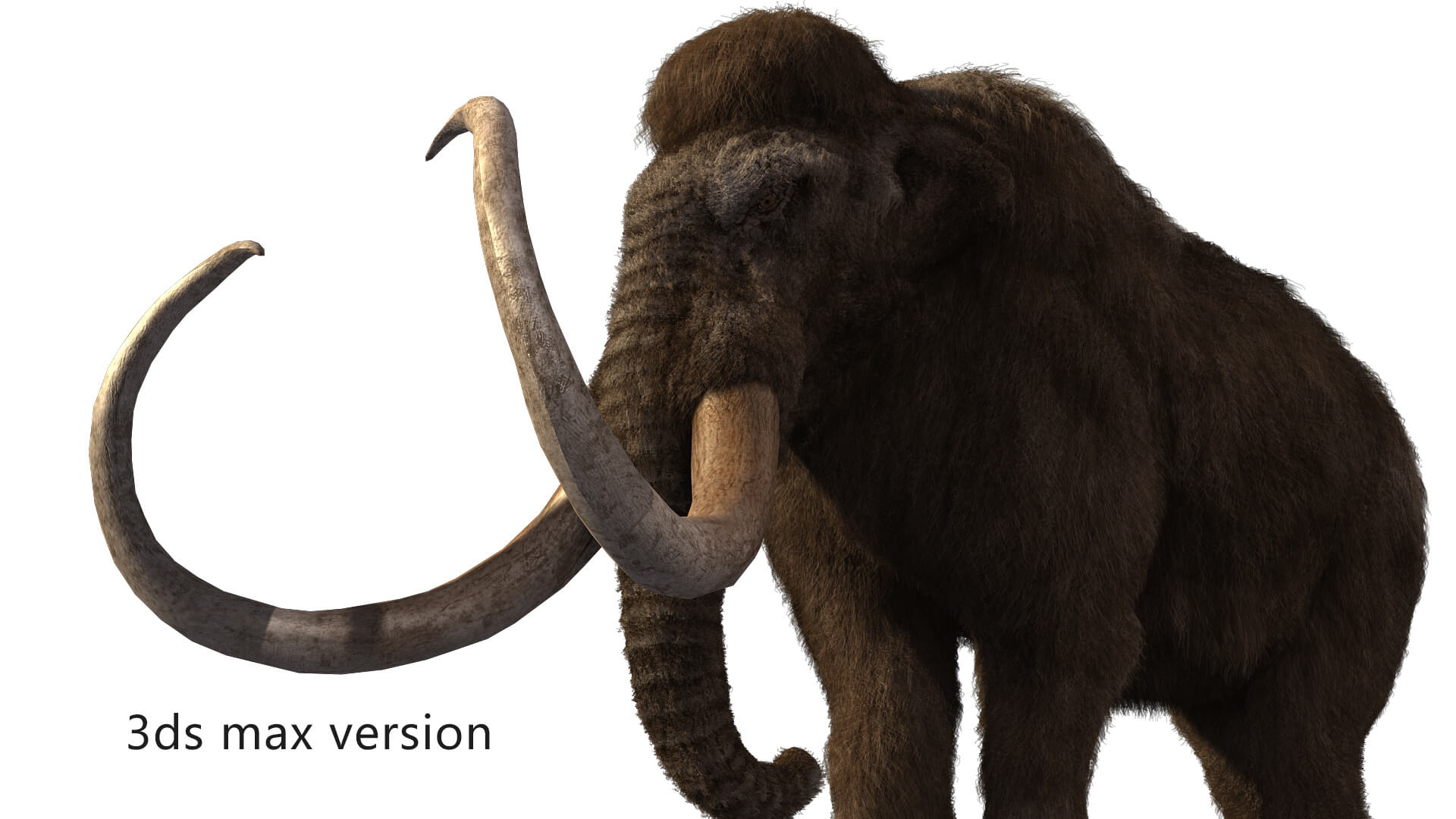 Mammoth Elephant - 3D Model by cg-shop-boy