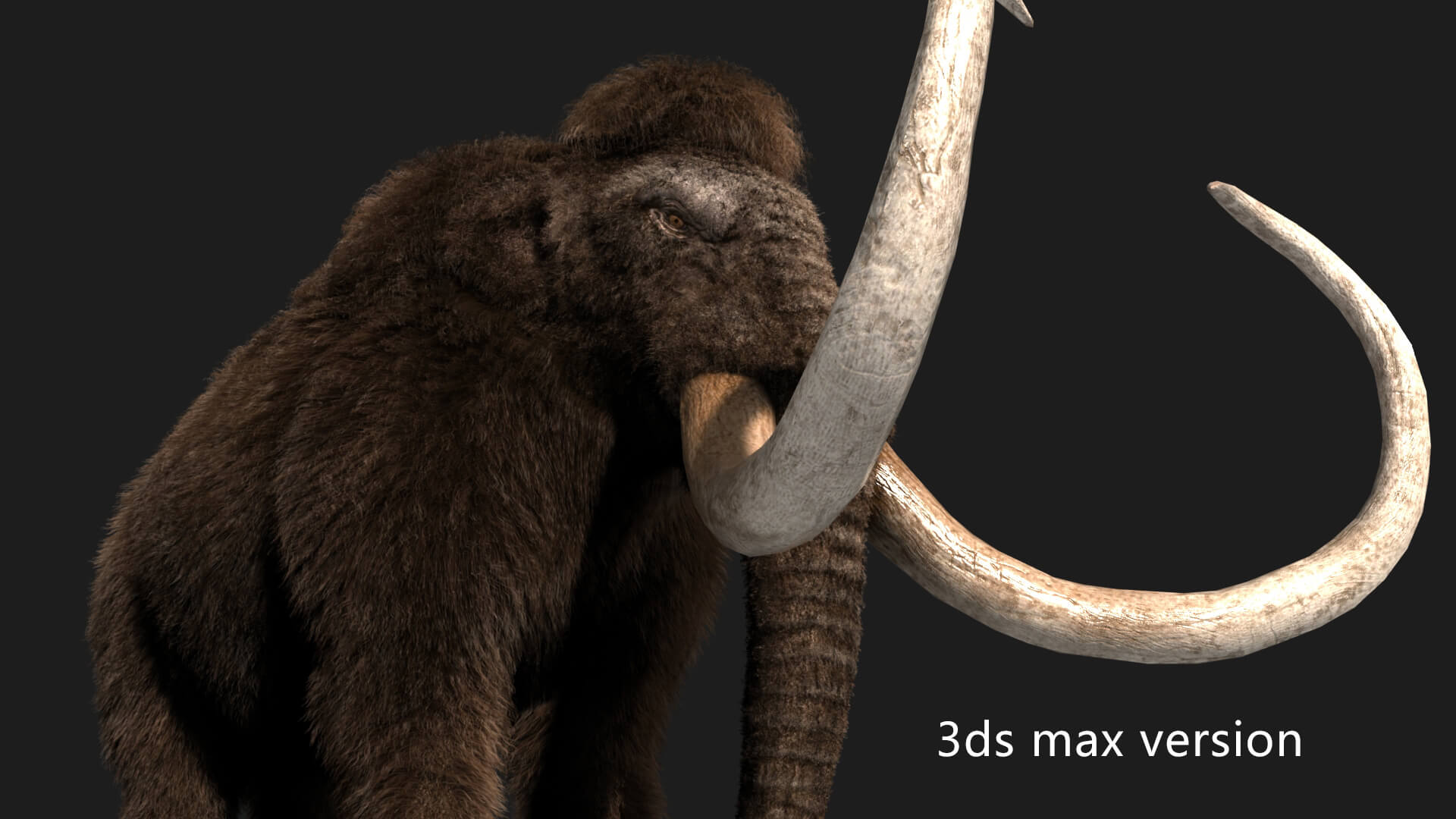 Mammoth Elephant - 3D Model by cg-shop-boy