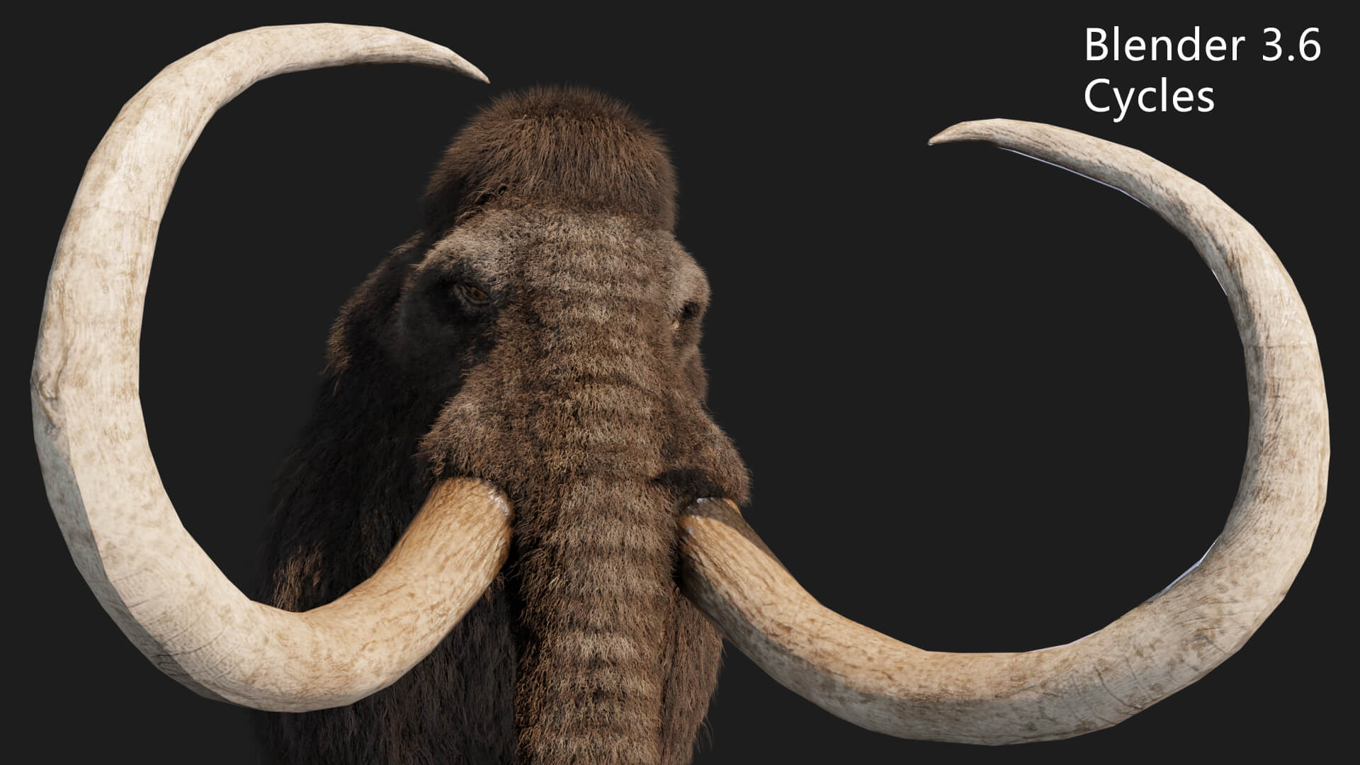 Mammoth Elephant - 3D Model by cg-shop-boy