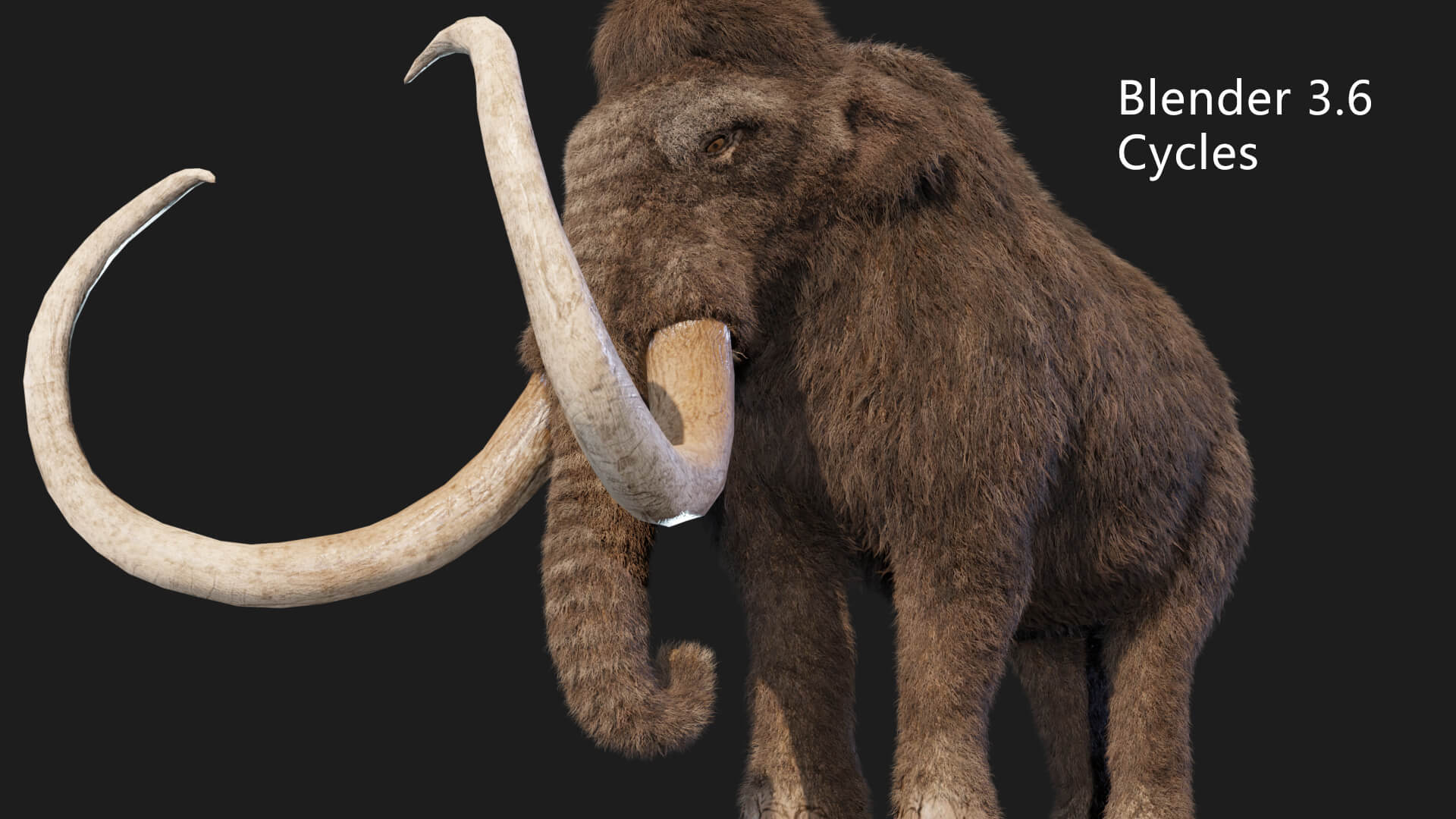 Mammoth Elephant - 3D Model by cg-shop-boy