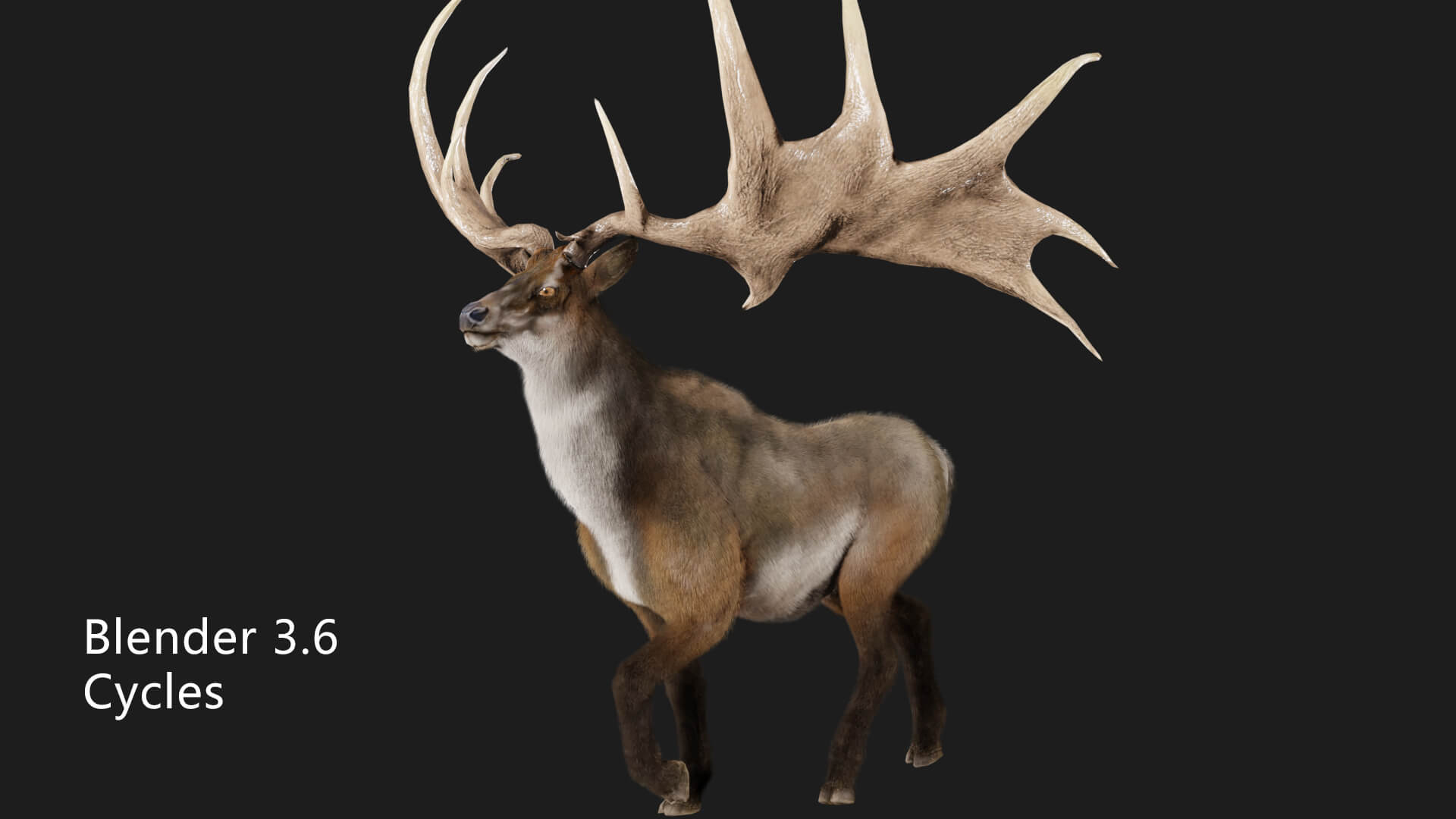 Megaloceros Elk Deer Moose - 3D Model by cg-shop-boy