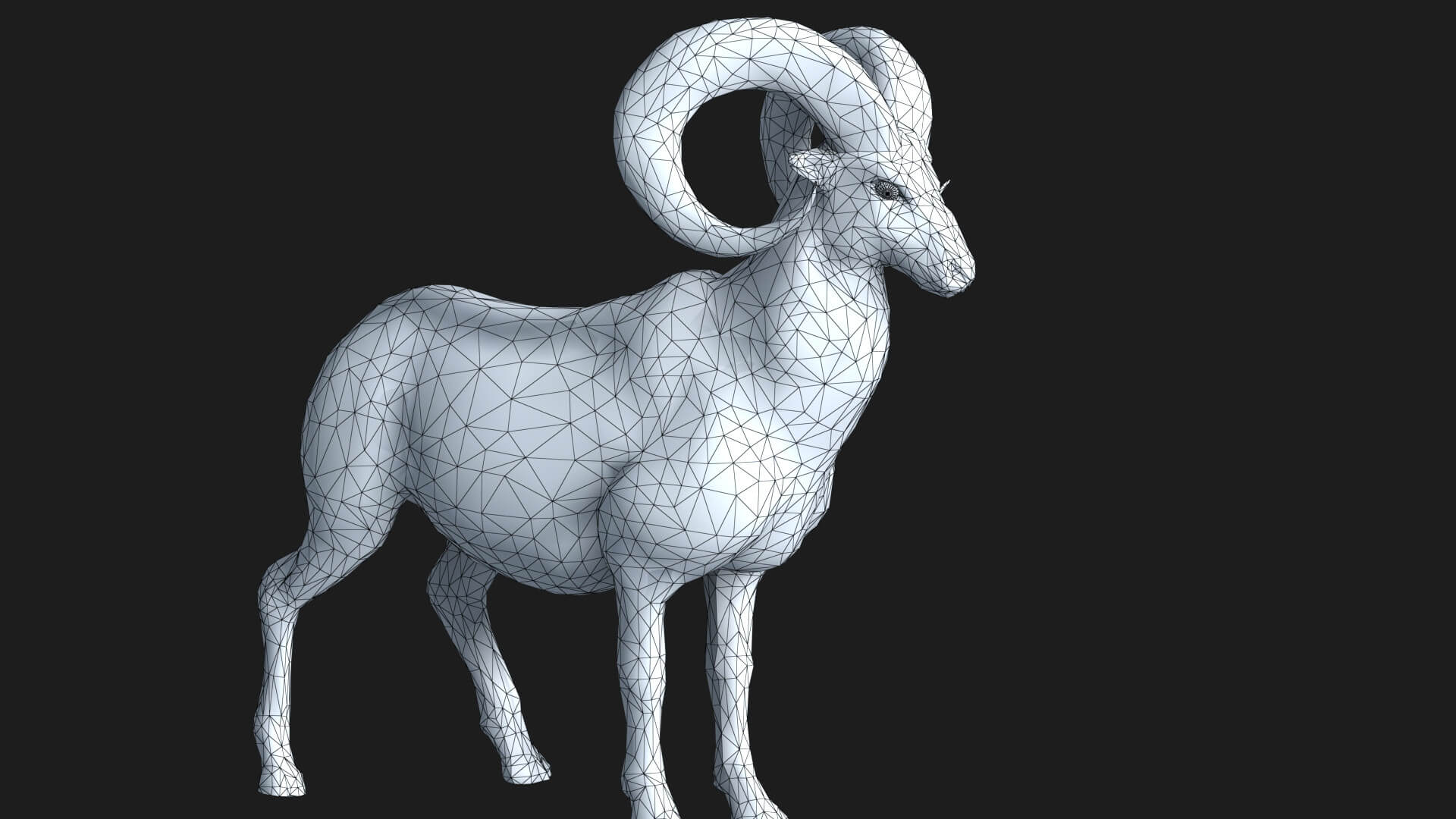 Rigged Goat Ram Sheep - 3D Model by cg-shop-boy