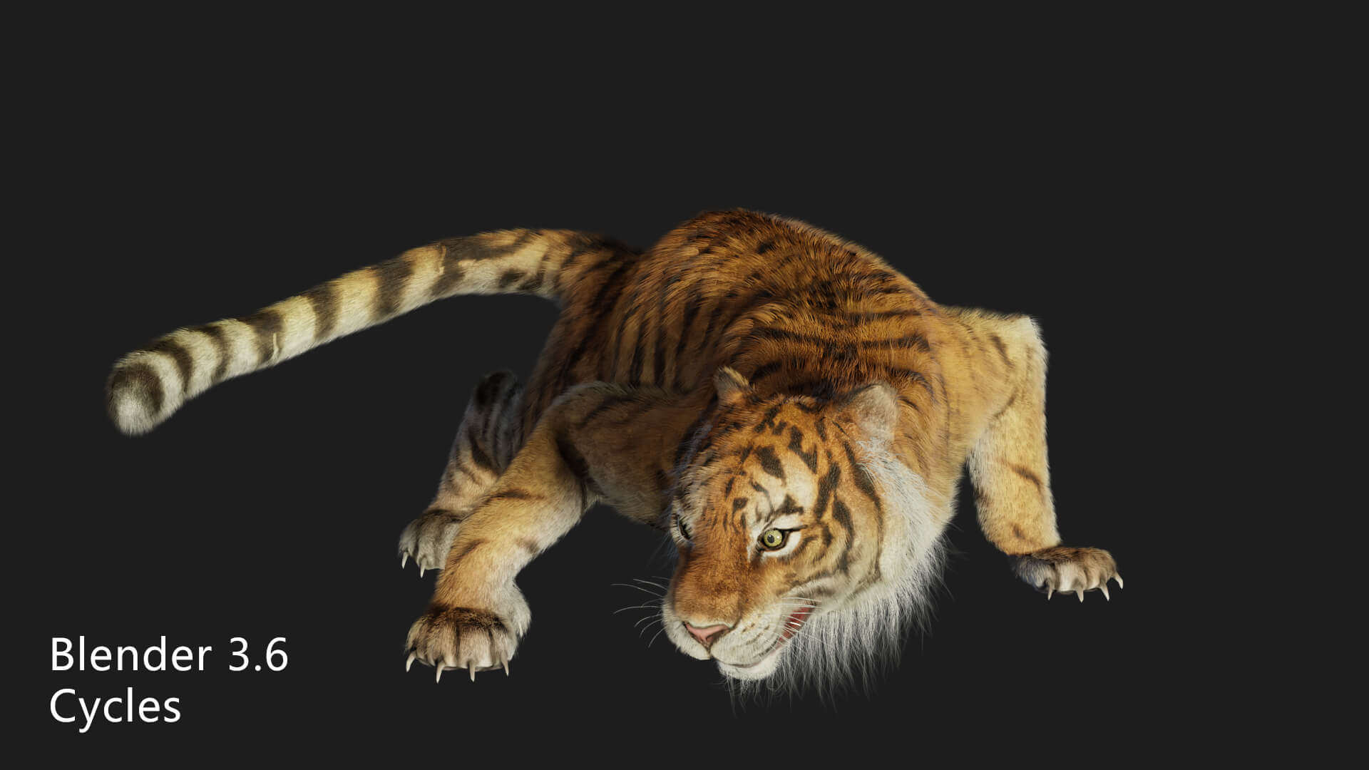 Rigged Tiger Wild Cat Beast - 3D Model by cg-shop-boy