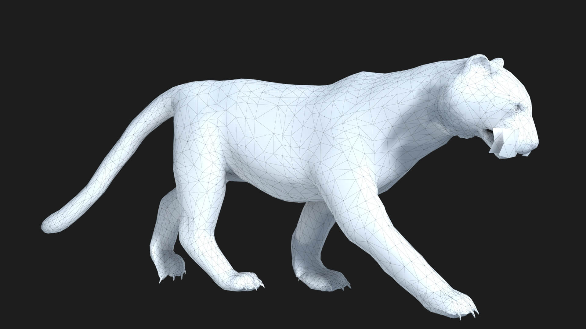 Rigged Tiger Wild Cat Beast - 3D Model by cg-shop-boy