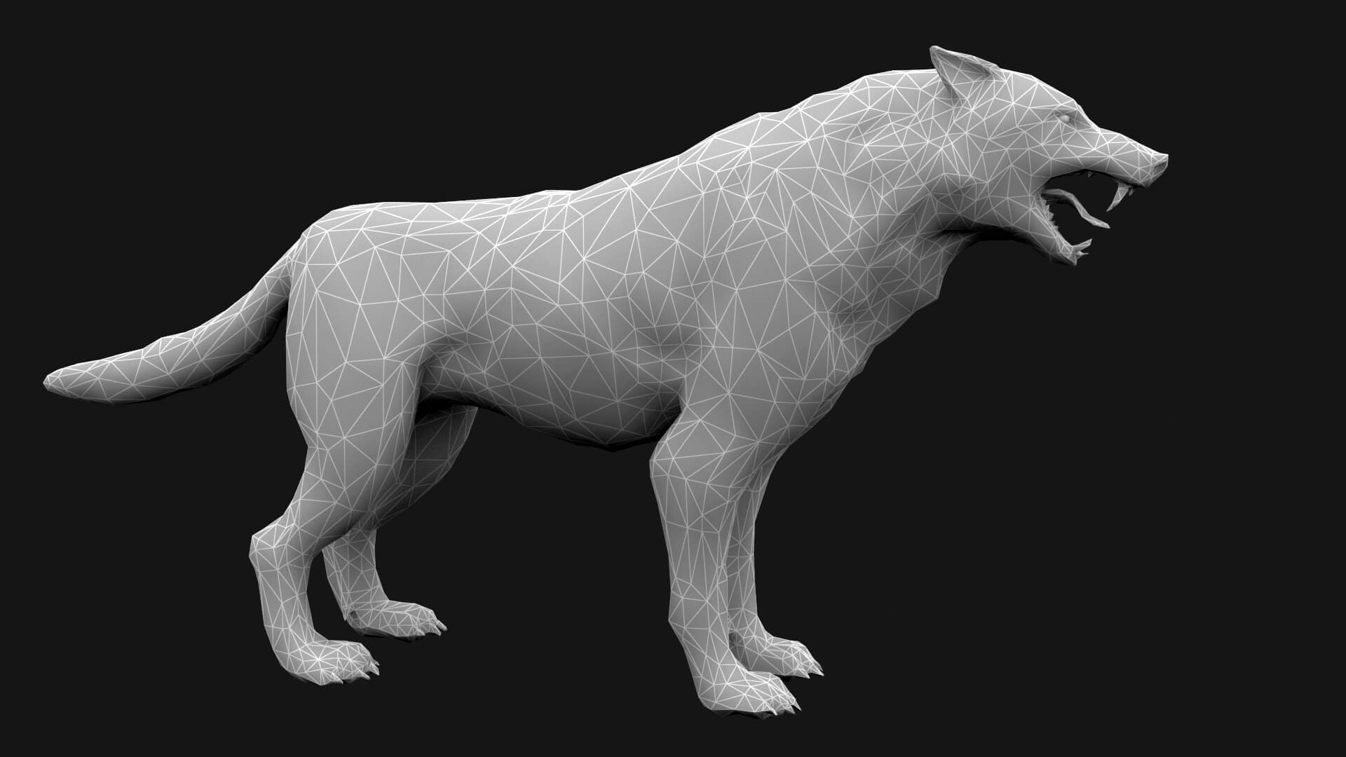 Wolf Wild Dog Husky Beast Howl Hair - 3D Model by cg-shop-boy