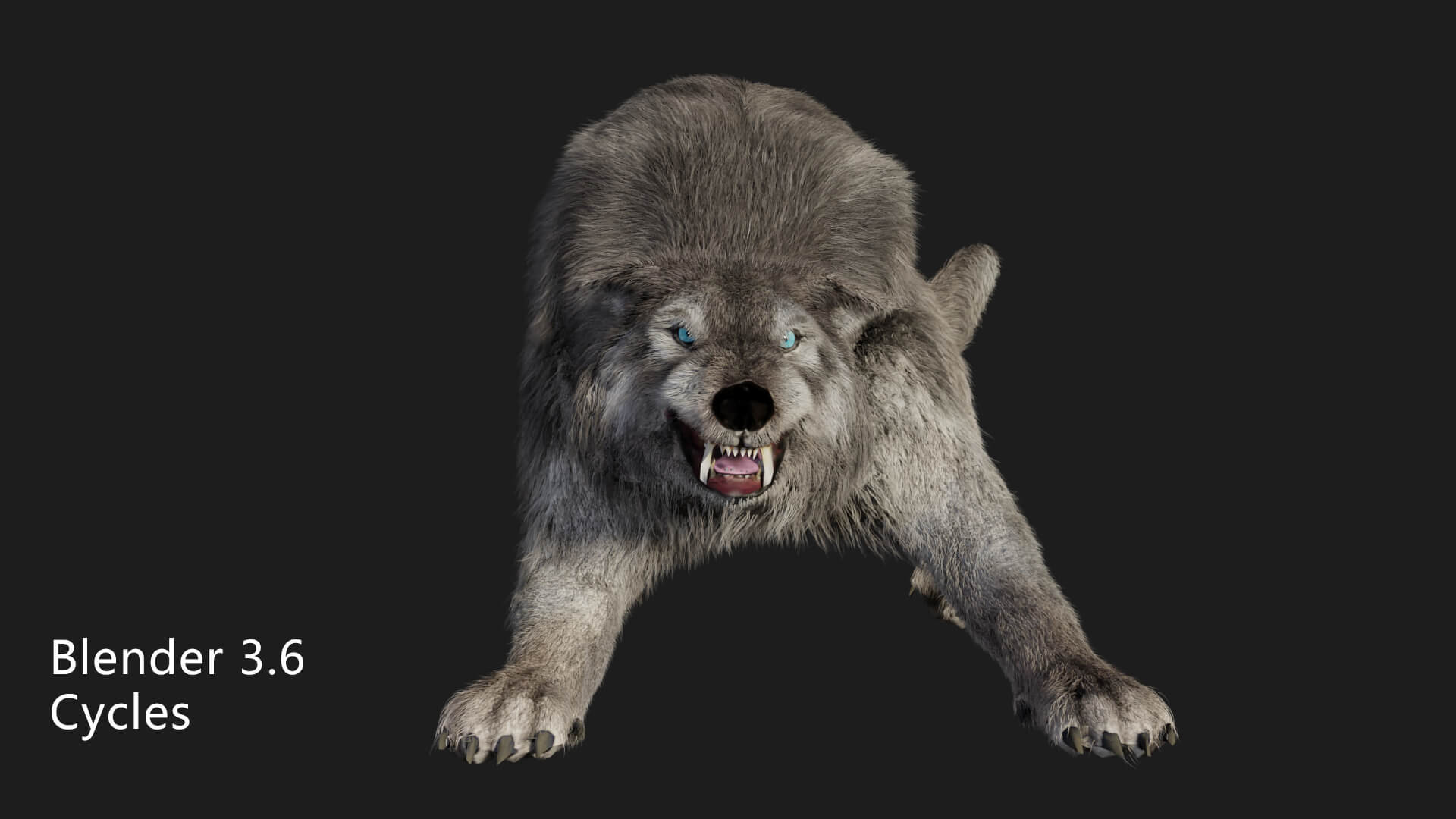 Wolf Wild Dog Husky Beast Howl Hair - 3D Model by cg-shop-boy