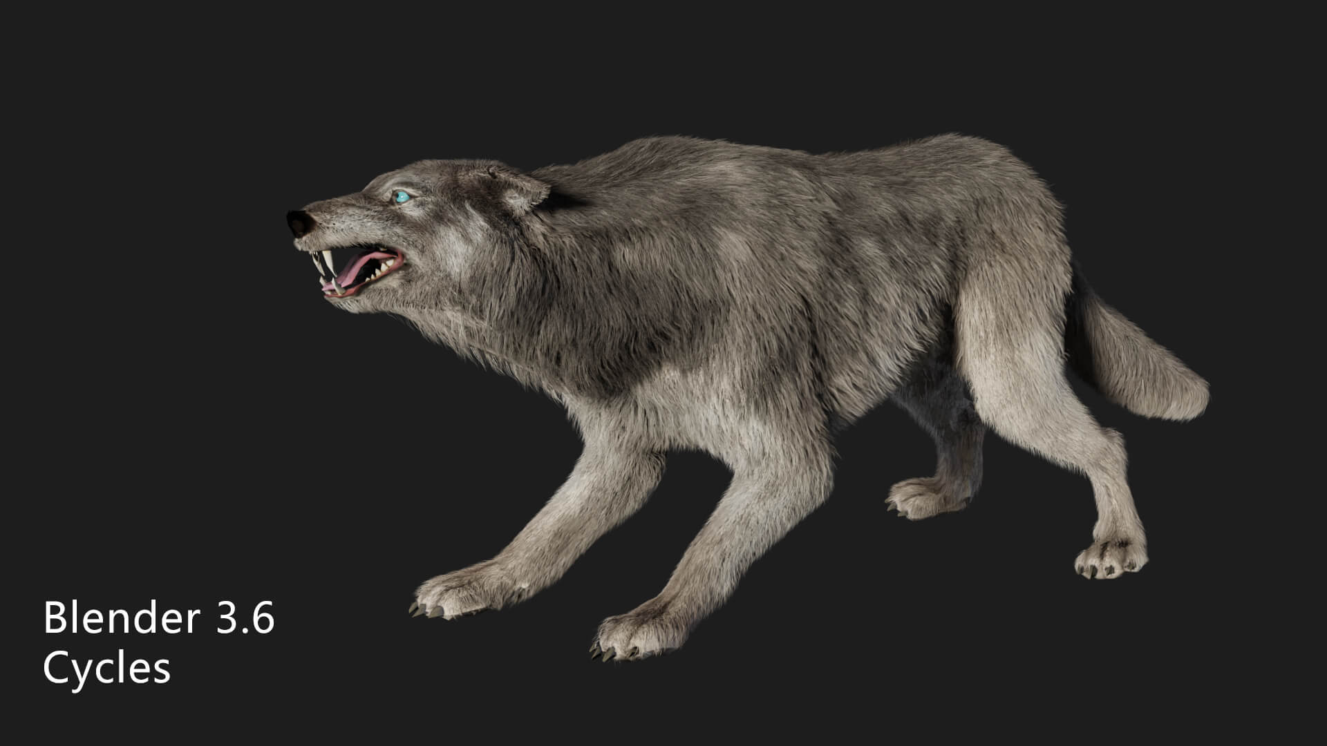 Wolf Wild Dog Husky Beast Howl Hair - 3D Model by cg-shop-boy