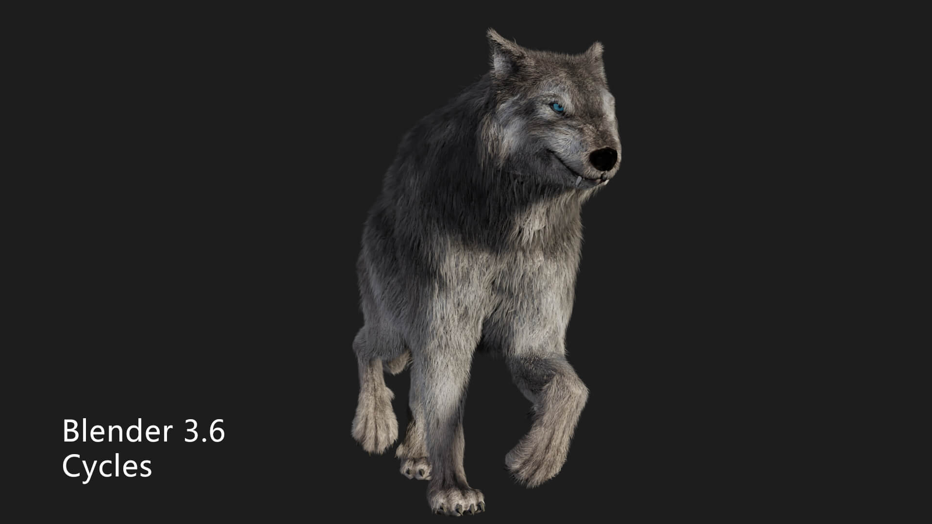 Wolf Wild Dog Husky Beast Howl Hair - 3D Model by cg-shop-boy