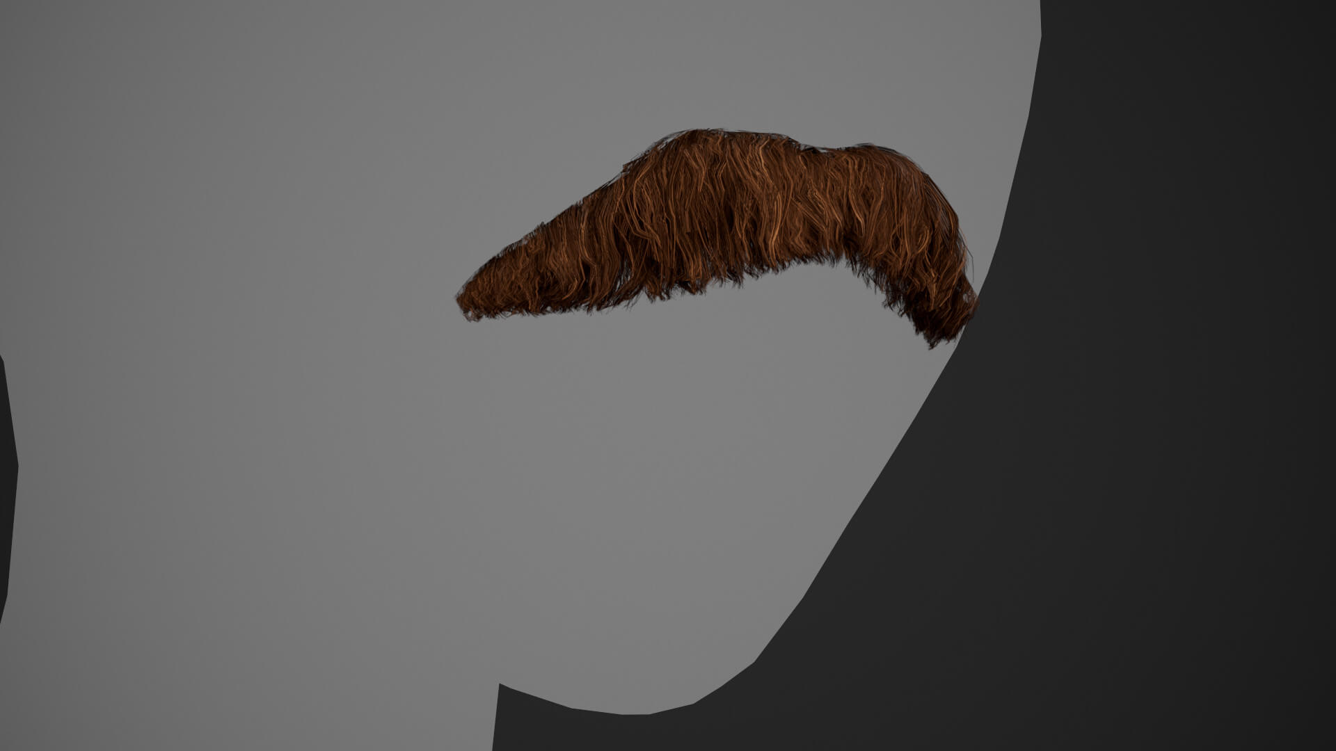 Facial Hair Texture