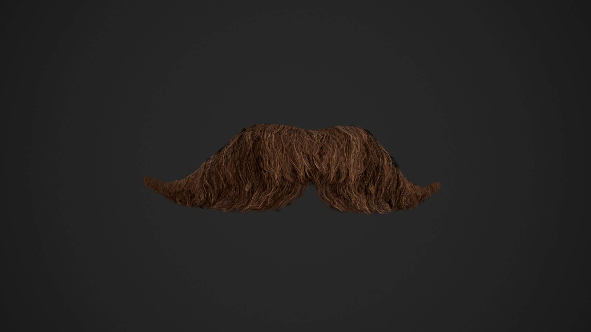 Hungarian Mustache