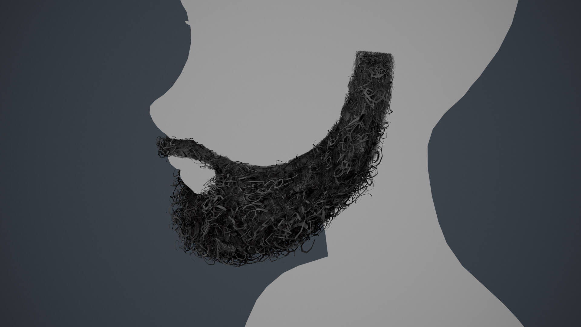 Facial Hair Cards Style 7 - Full Curly Beard 3D Model by CG StudioX