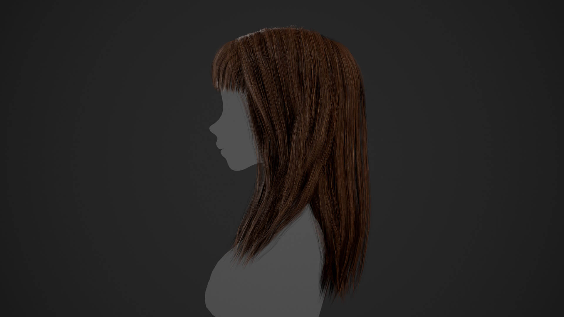 Female Hair Cards Style 3 - Long Hair 1 3D Model by CG StudioX