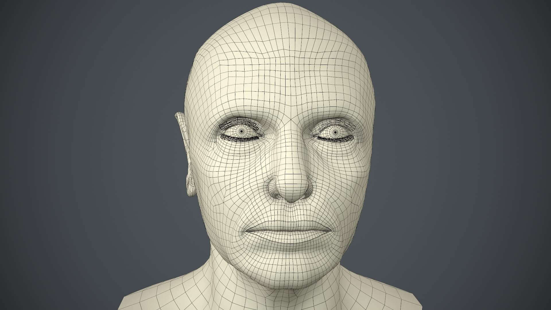 Male Head - 3D Model by CG StudioX