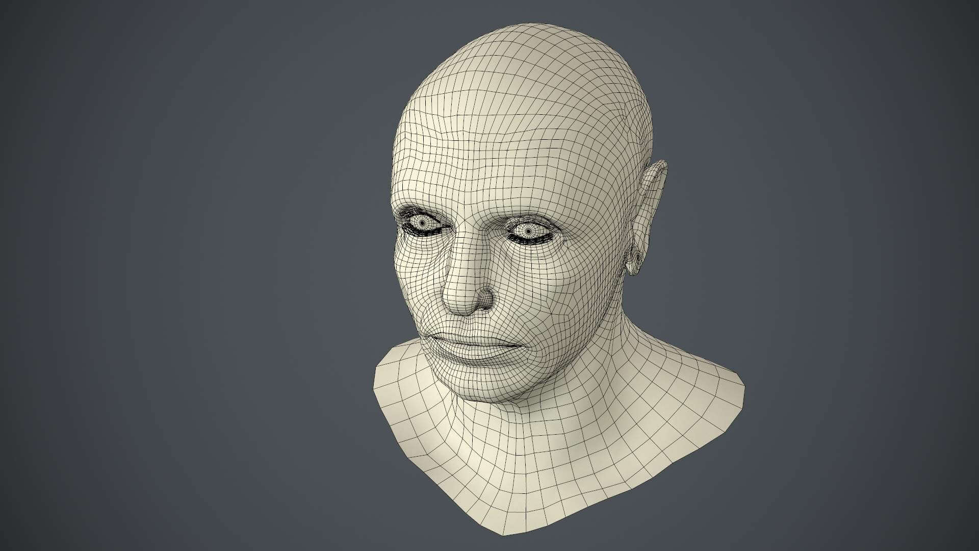 Male Head - 3D Model by CG StudioX