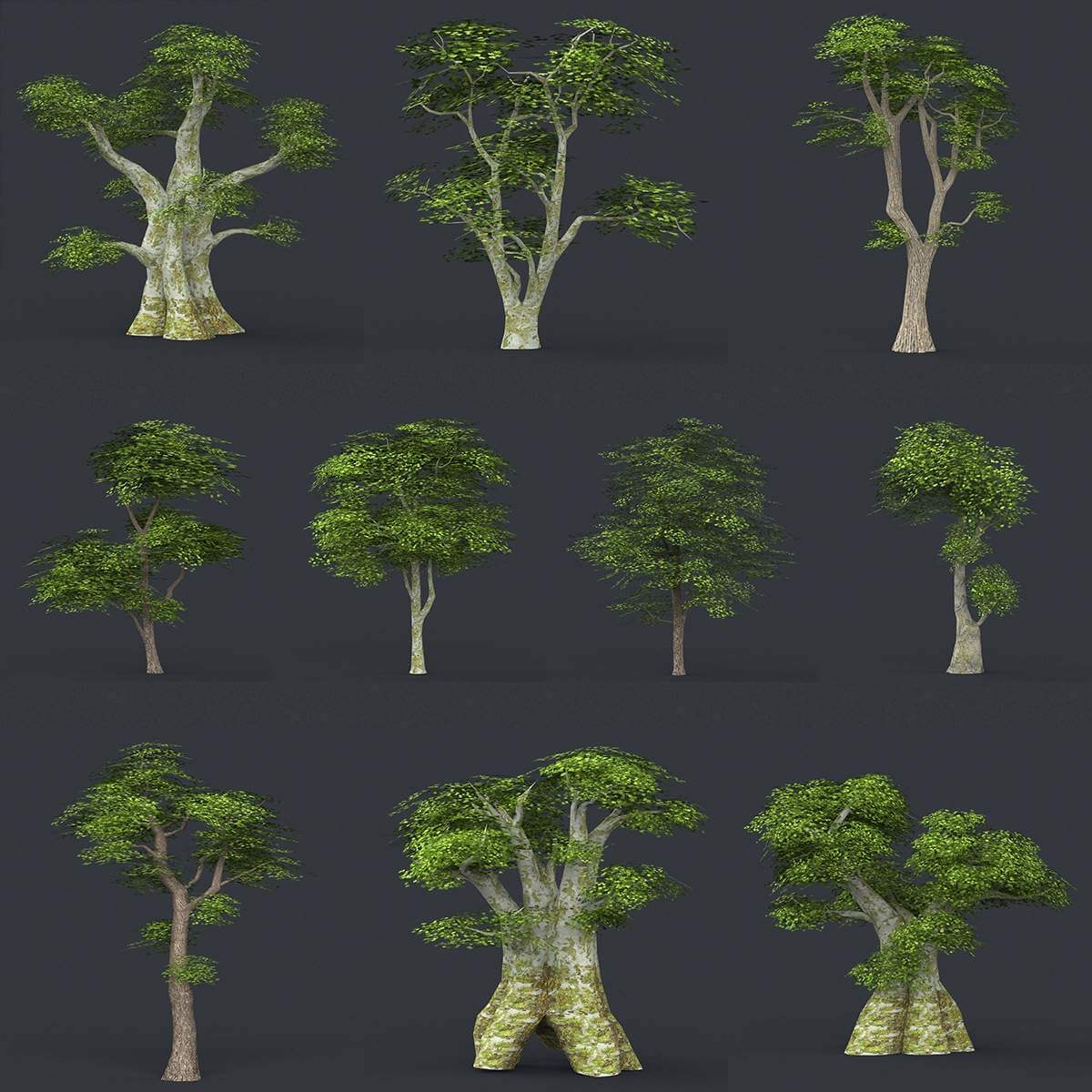 10 Tree Collection - 3D Model by cganimalworld
