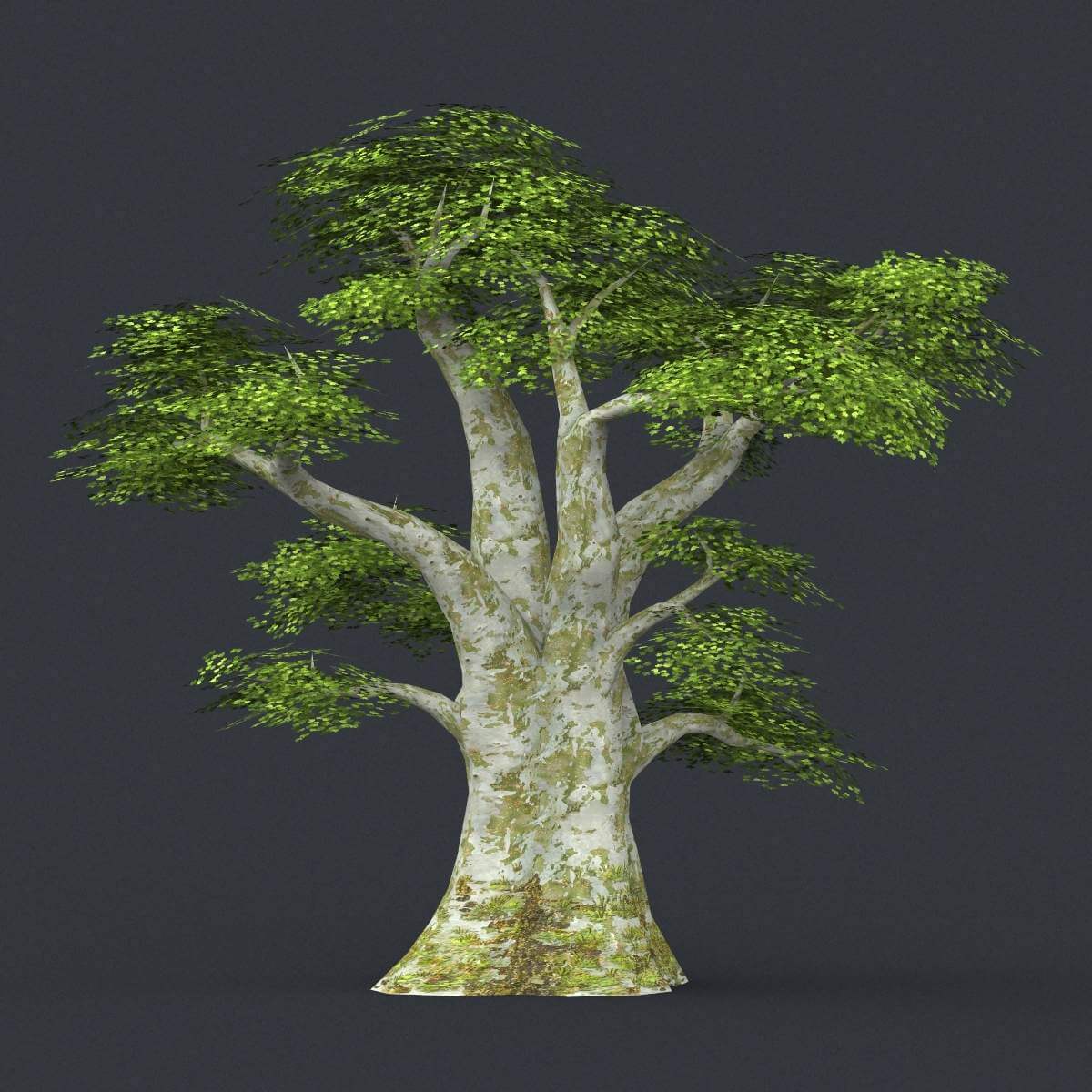 10 Tree Collection - 3D Model by cganimalworld