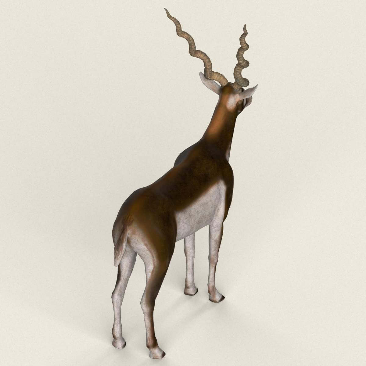Antelope - 3D Model by cganimalworld