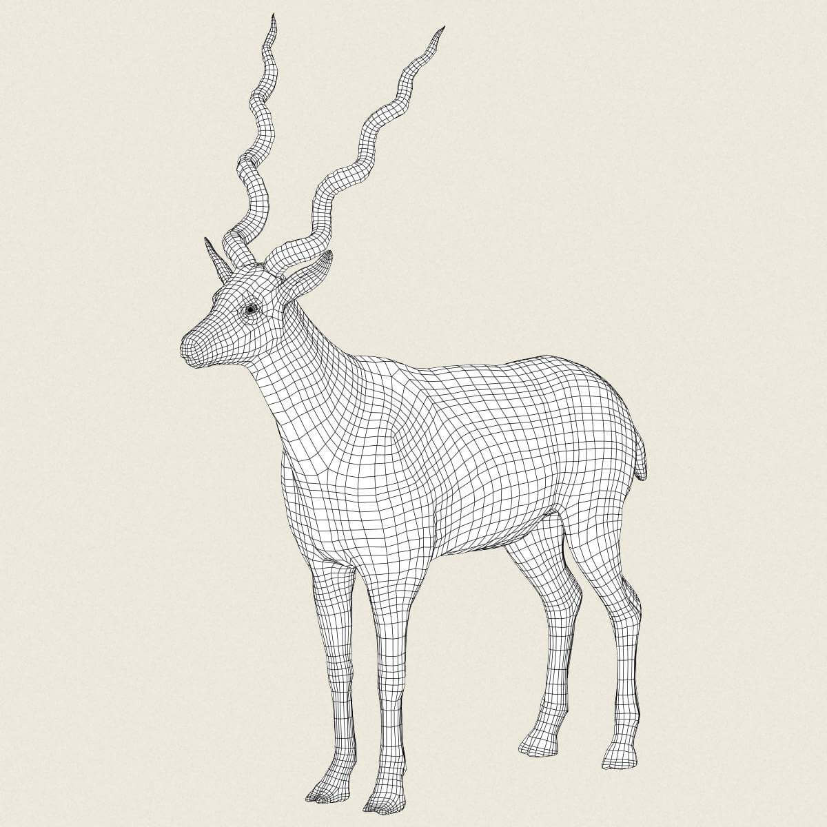 Antelope - 3D Model by cganimalworld