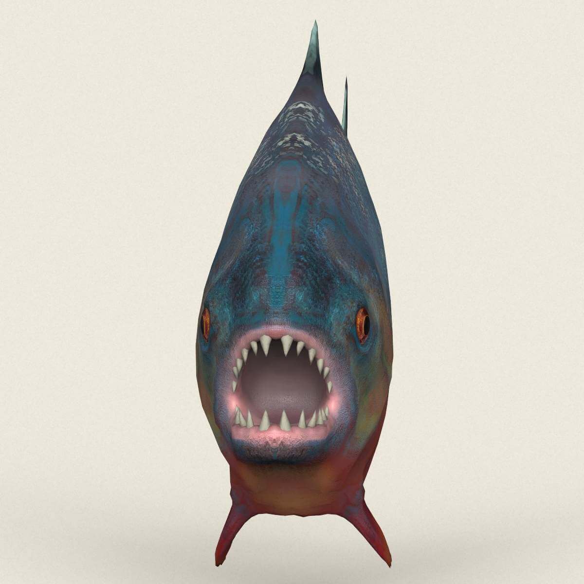 Piranha - 3D Model by cganimalworld