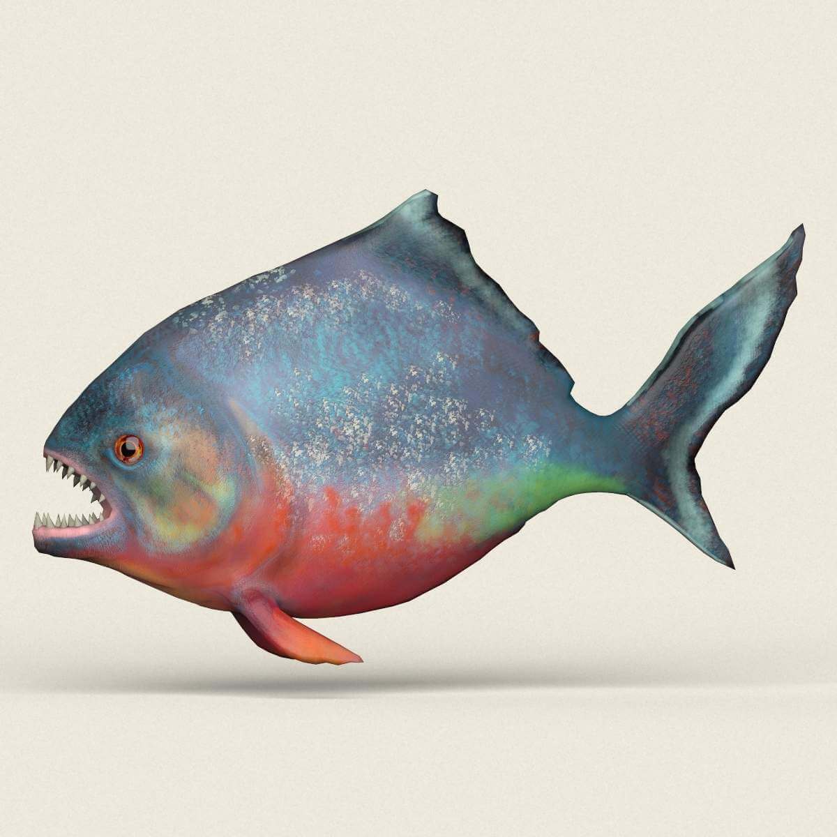Piranha - 3D Model by cganimalworld