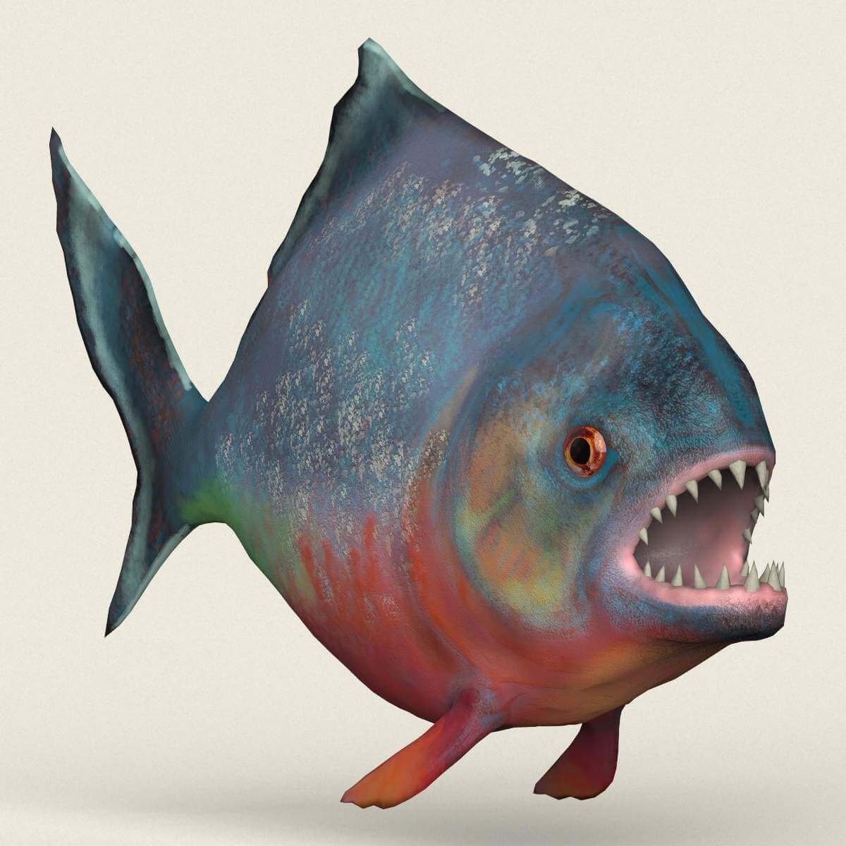 Piranha - 3D Model by cganimalworld