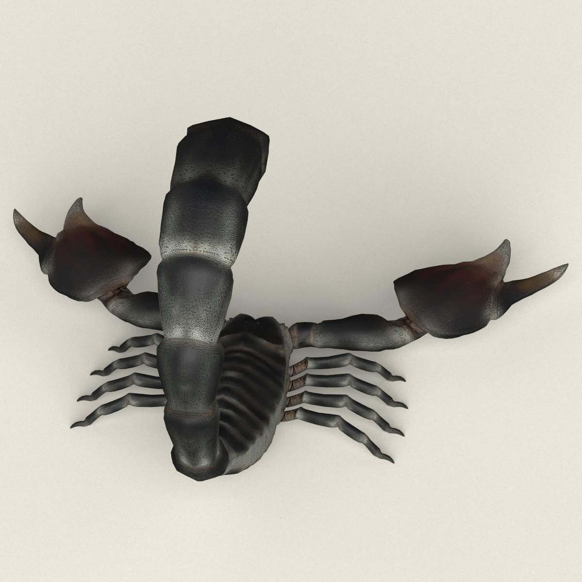 Scorpion - 3D Model by cganimalworld