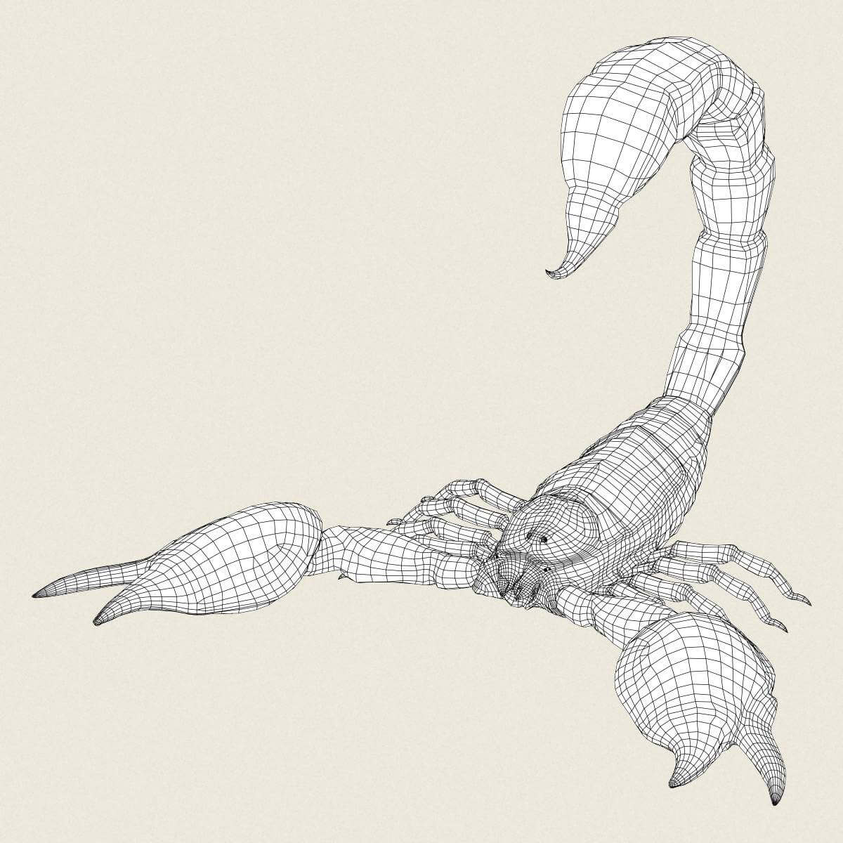 Scorpion - 3D Model by cganimalworld