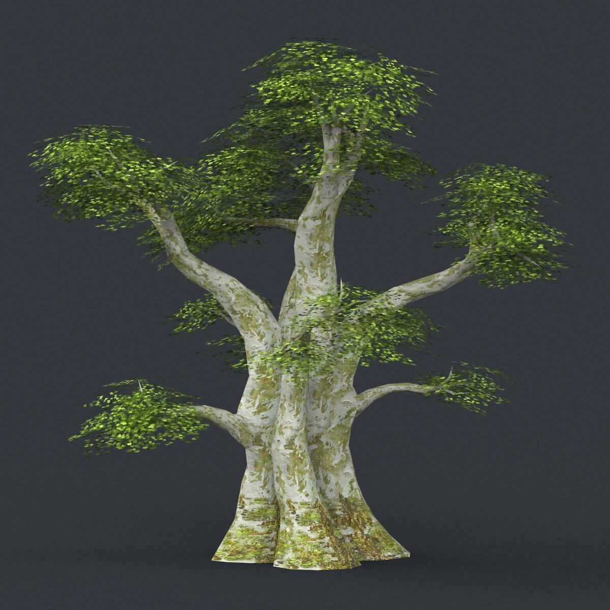 Tree 01 - 3D Model by cganimalworld