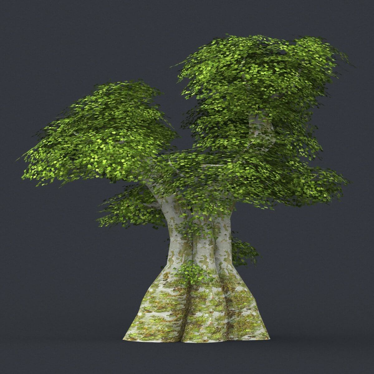 Tree 02 - 3D Model by cganimalworld